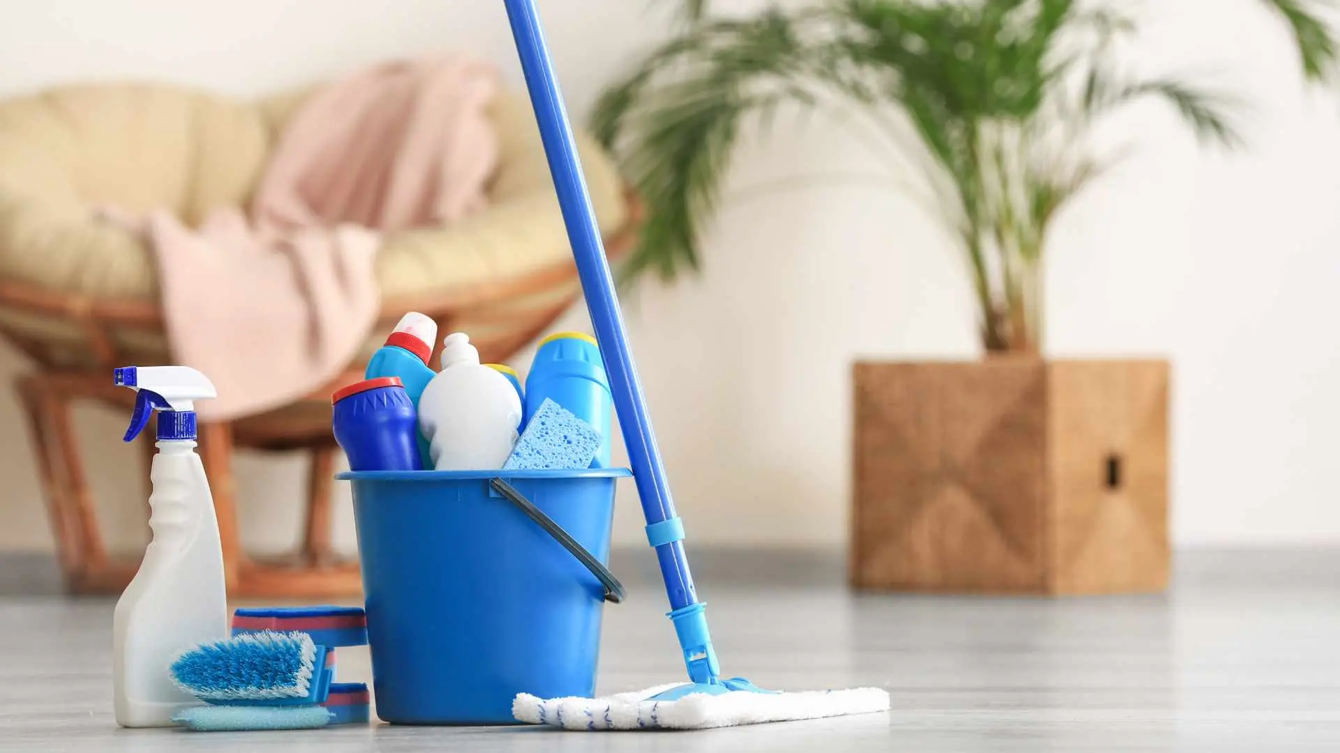 Surface Cleaners: Everything You Need to Know