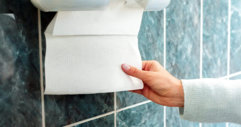 Z-Fold vs. C-Fold vs. Multi-Fold: Choosing the Right Paper Towel Type